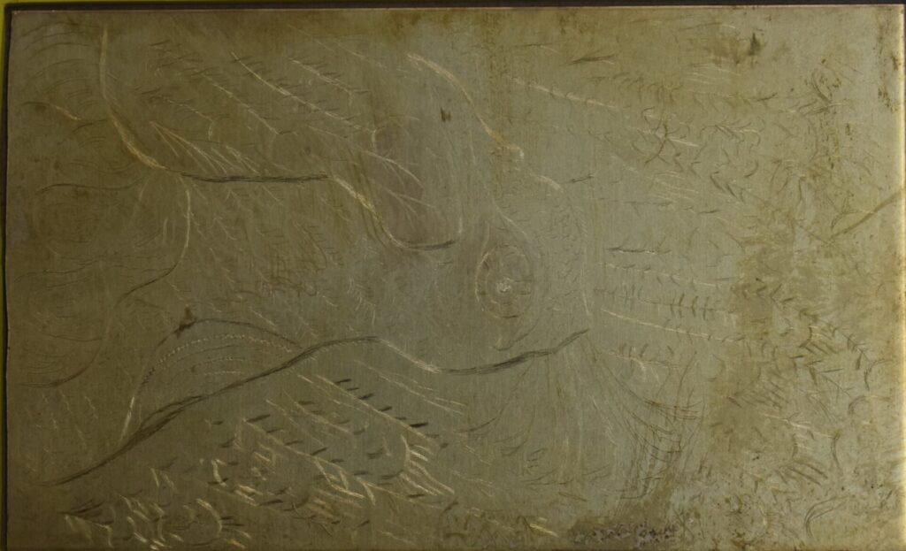 希望 the frisk 孔雀 | SEISAオンライン展覧会